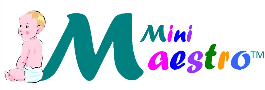 mini maestro :: cloth diapers {giveaway} – the SIMPLE moms